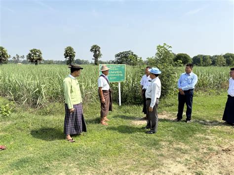 မိုင်းယန်းခရိုင်၊ မိုင်းယန်းမြို့၌ ၂၀၂၅ ၂၀၂၆ ပညာသင်နှစ် ကျောင်းအပ်နှံရေးနေ့အခမ်းအနား ကျင်းပ