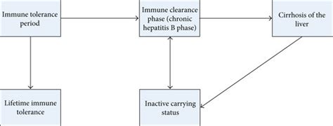 Clinical Evolutionary Pathways Of Hepatitis B Download Scientific