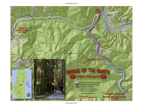Half Marathon Avenue Of The Giants