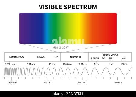 Science Electromagnetic Spectrum Diagram Illustration Stock Vector