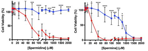 Effects Of Exogenous Polyamine Addition On Cellular Viability In Cancer