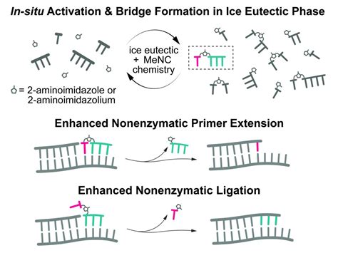 Nar Breakthrough Enhanced Nonenzymatic Rna Copying With In Situ