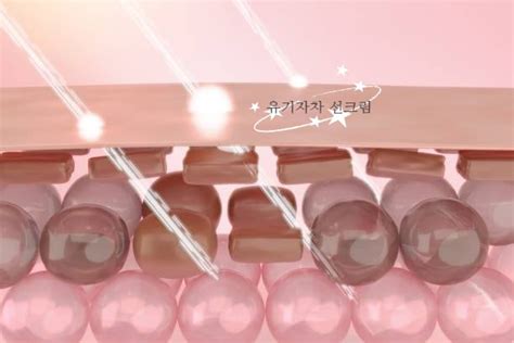 무기자차 유기자차 혼합자차 차이점 각 타입별 선크림 추천까지 모아봤어요 네이버 블로그 무기자차 유기자차 혼합자차 차이점 각 타입별 선크림 추천까지 모아봤어요 네이버 블로그