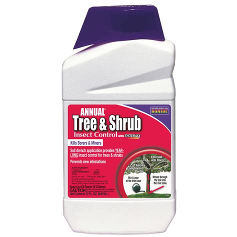 Effective Strategies For Tree Borers Treatment Australia Protect Your Trees Today