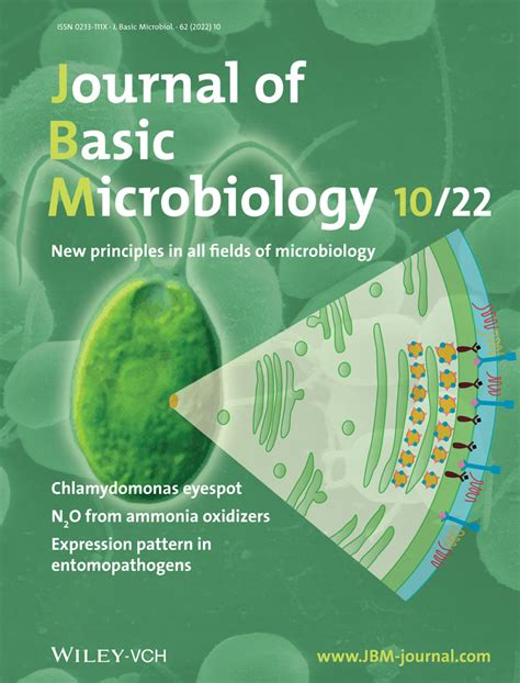 Stochastic Processes Shape The Aggregation Of Free‐living And Particle‐attached Bacterial