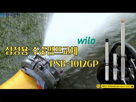 윌로 충북 괴산군 가정집 심정용수중펌프 지하수펌프 교체 YouTube