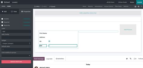 Form View Odoo Studio Book