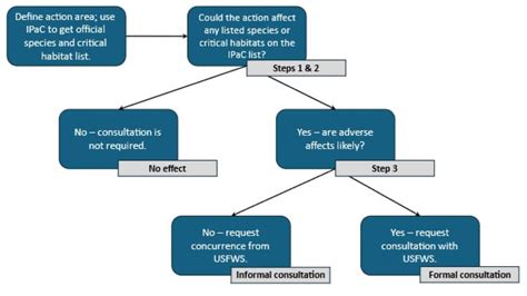 Section 7 Process Flow Chart