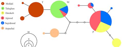 Maximum Parsimony Spanning Network Constructed With Tcs Based On An 840