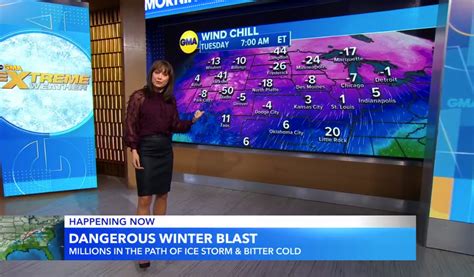 Gmas Ginger Zee Shows Off Figure In Leather Skirt And Sheer Top After