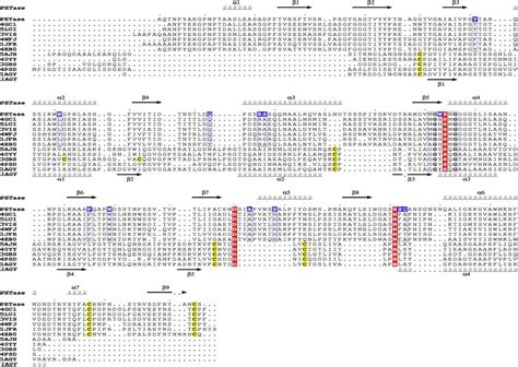 A Structure Based Sequence Alignment OfPETase With Its Download Scientific Diagram