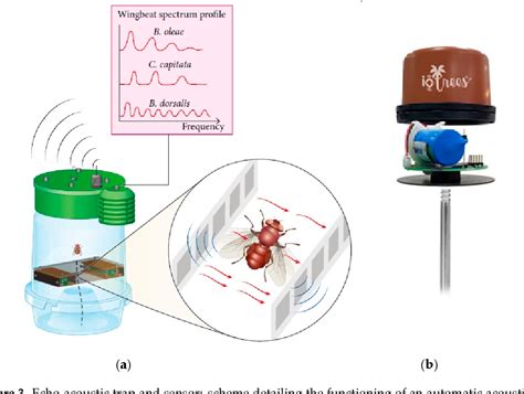 Figure 3 From Automatic Detection And Monitoring Of Insect Pests—a Review Semantic Scholar