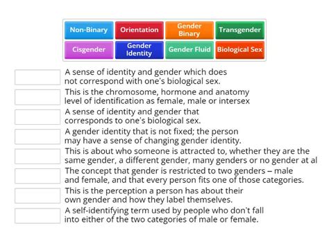 Gender Identity Match Up Gender Identity Match Up