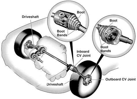 Ba Falcon Drive Shaft Cv Joint At Johnny Duffy Blog