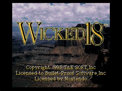 Wicked 18 Usa Rom