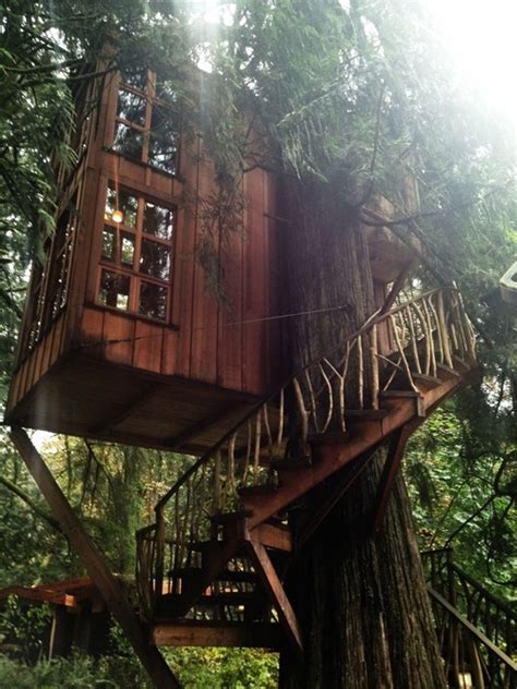 Dirty Hippies Productions A Tree House A Free House A Secret You And Me