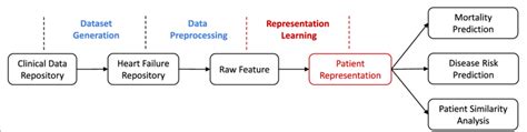 An Overview Of The Proposed Representation Learning Approach To