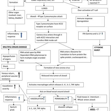 Pathogenesis Of Sars Cov 2 Download Scientific Diagram