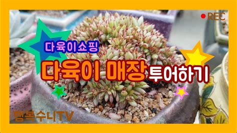 다육이 쇼핑하기 전주 꽃을사랑하는사람들 다육매장 투어 예쁜다육 많은곳 Youtube