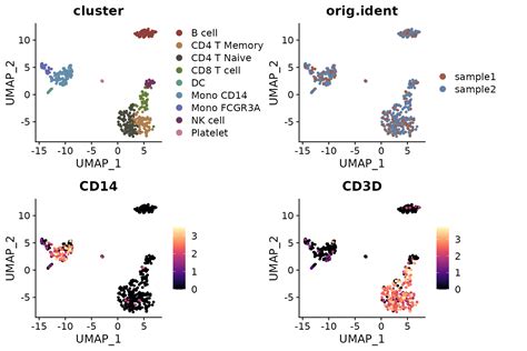 Enhanced Visualization • Seuratextend