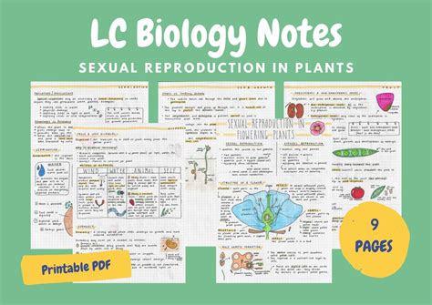 Sexual Reproduction In Plants Notes Leaving Cert Biology Etsy