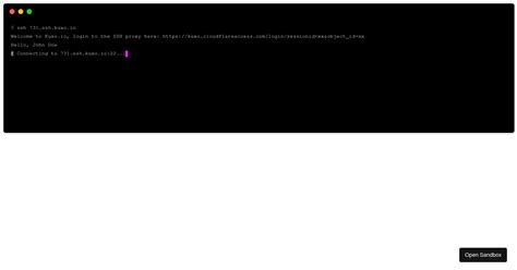 React Animated Terminal Forked Codesandbox