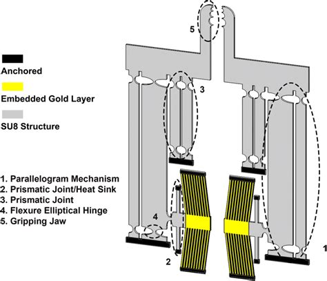 Schematic Of The Proposed Electrothermally Actuated Microgripper Design Download Scientific