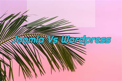 joomla or wordpress as your cms blog