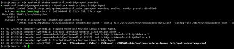 openstack network agent list 没有compute csdn社区