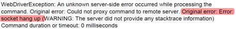 Socket Hangup Error In Between Of Test Execution And It Will Not