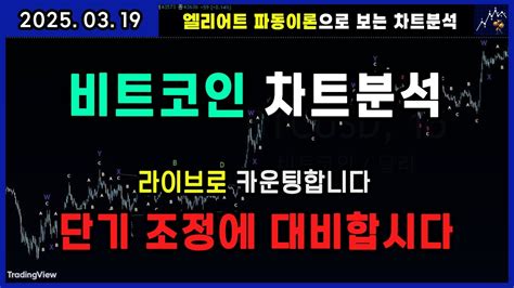 비트코인 차트분석 250319 비트코인 엘리어트 파동 카운팅 Youtube