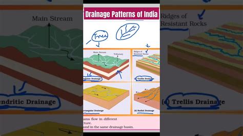 Indian Drainage Patterns Dendritic Trellis Shorts My Geo Beats