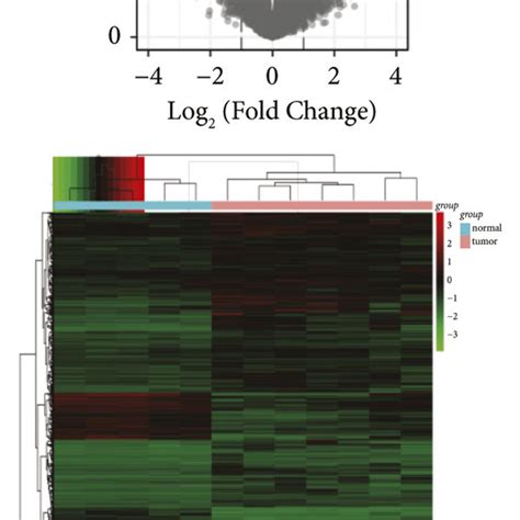 Identification Of DEGs A Volcano Plots And Heatmaps Of DEGs In The