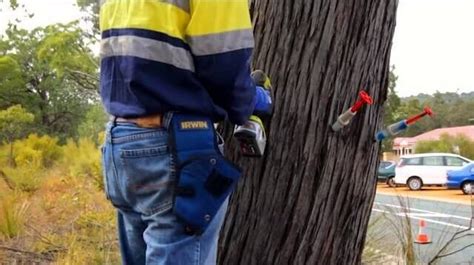 Videos Chemjet Tree Injector