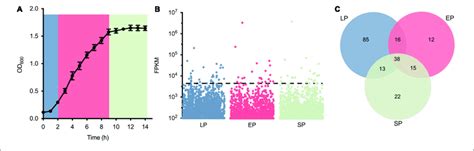 Identification Of Highly Expressed Genes From Staphylococcus Aureus Download Scientific