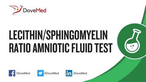 Lecithin Sphingomyelin Ratio Amniotic Fluid Test