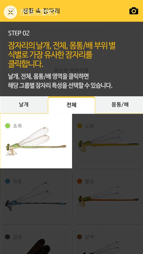 Step 02 잠자리의 날개 전체 몸통배 부위 별 식별로 가장 유사한 잠자리를 클릭합니다