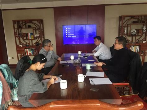 麦肯锡咨询专家对集团战略布局、经营发展献言献策