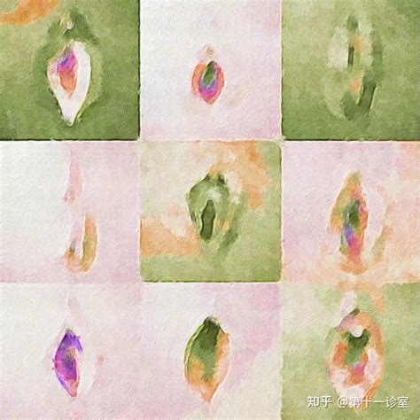 正经讨论对于女性来说纳入式性行为到底有多糟 知乎