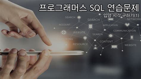 Programmers 프로그래머스 Sql 연습문제 입양 시각 구하기1 Youtube