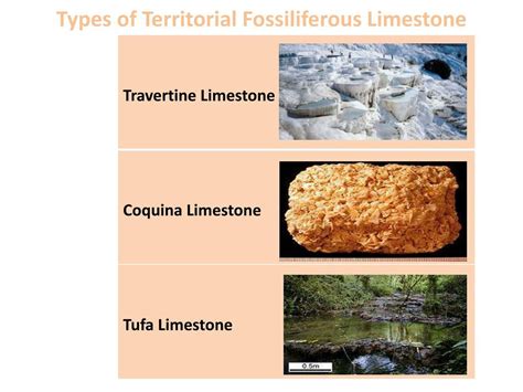 Ppt Fossiliferous Limestone All You Need To Know Powerpoint Presentation Id 8099658