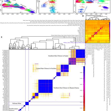 Fine Scale Population Genetic Structure Based On The Shared Haplotype