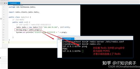 Redis 当中 Jedis 的详细刨析与使用 知乎
