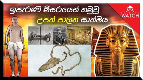 ඉපැරණි මිසරයෙන් හමු වූ උපත් පාලන සාක්ෂිය Youtube