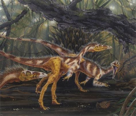 Compsognathus Dinosaurs Fan Art 22804251 Fanpop