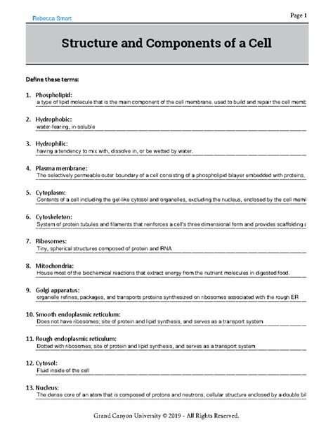 BIO L RS Lab The Cell Fillable Structure And Components Of A Cell Define These Terms