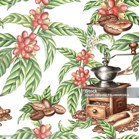 커피 그라인더와 콩 잎과 꽃이 있는 열매 완벽 한 패턴입니다 수채화 손으로 그린 그림입니다 아라비카 수확 과일 음료용 재료 식품 디자인 포장 카드 템플릿 Robusta