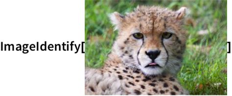 Machine Learning Elementary Introduction To The Wolfram Language