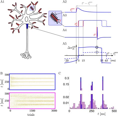 Neuron Model Synaptic Plasticity Rule And Learning Of Spike