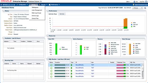 Oracle Database 12c Db Express Sneak Peek Conclusion Amis Technology Blog